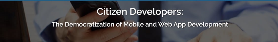 The Citizen Developer - An Infographic