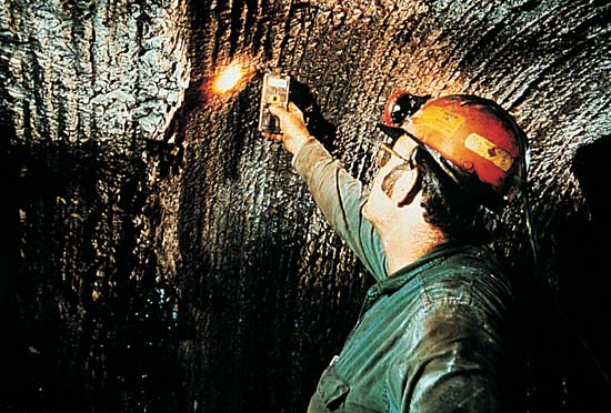 The Best Data Collection Apps for Business | Alpha Software