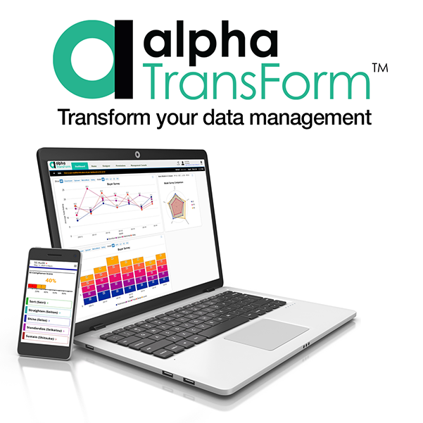 Excel vs Alpha TransForm: The Best Tool for Business Data Collection