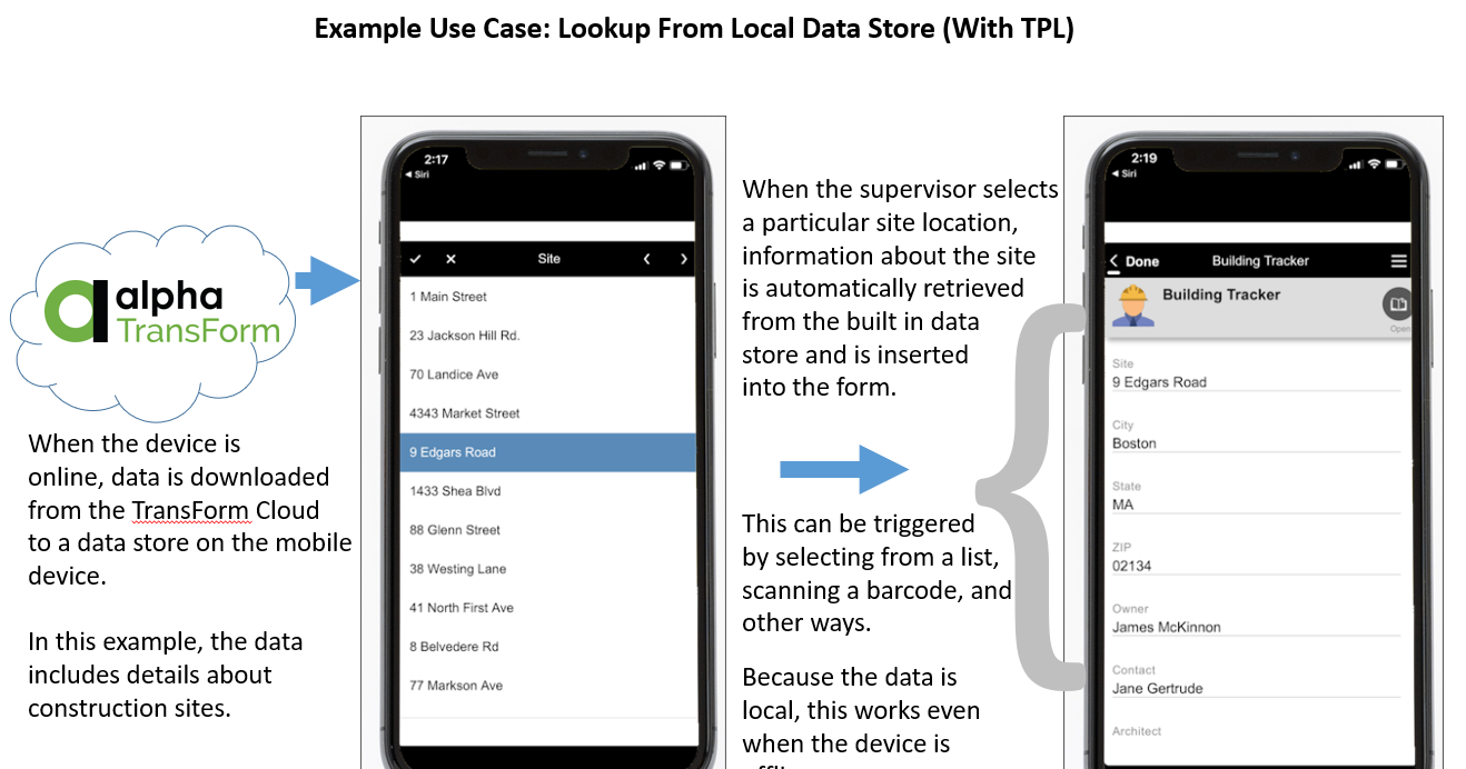 App Development Without Coding | Alpha Transform