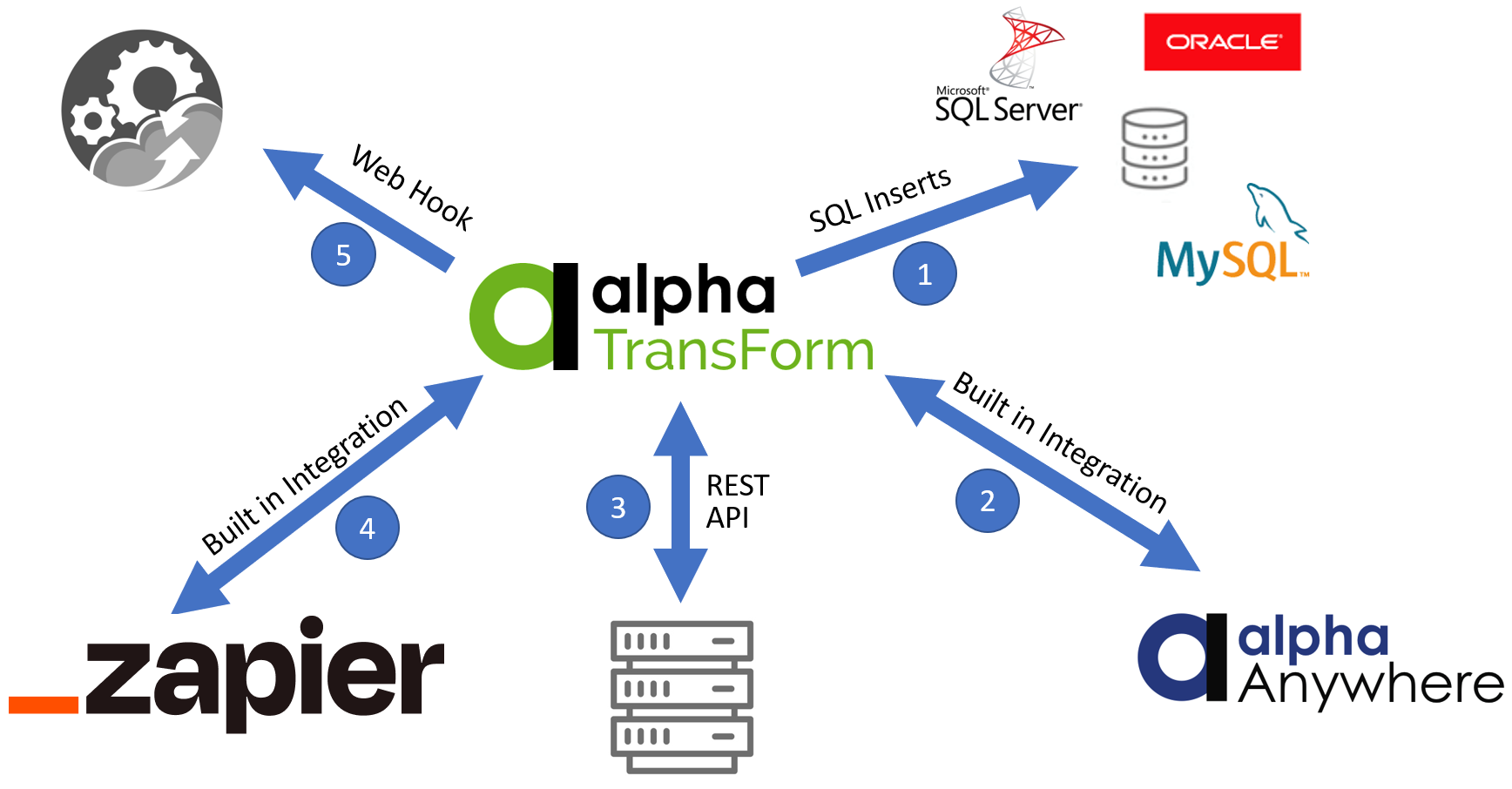 App Development Without Coding | Alpha Transform