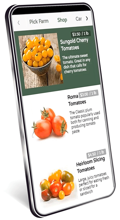Low-Code Mobile App Development Software | Alpha Software